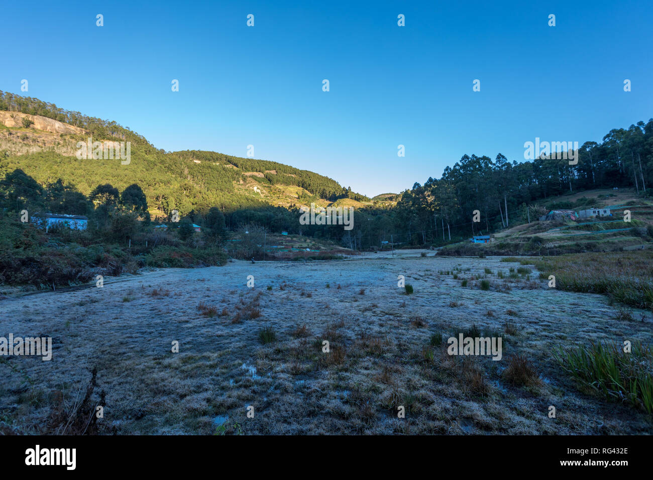 Frost in Munnar Stock Photo - Alamy