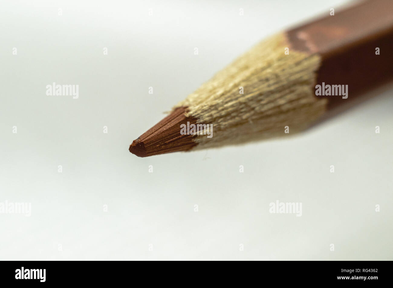 white background and brown pencil Stock Photo - Alamy