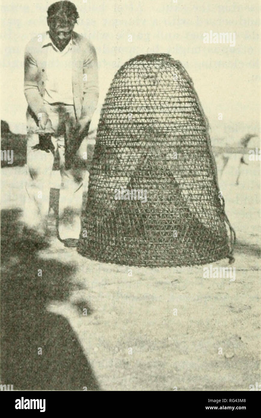 Octopus trap octopus traps hi-res stock photography and images - Alamy