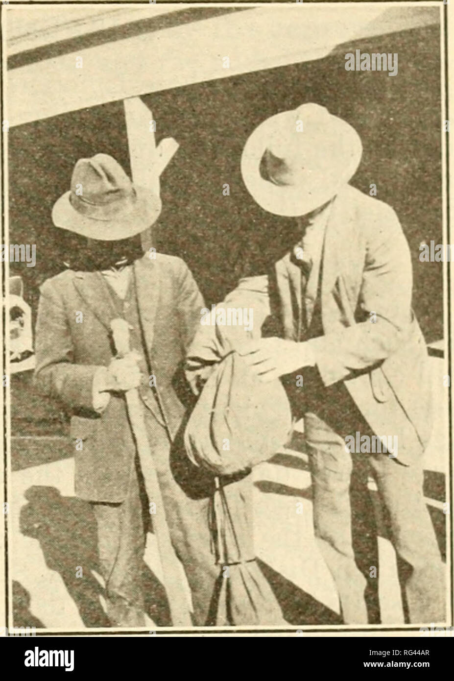 Predatory stance hi-res stock photography and images - Alamy