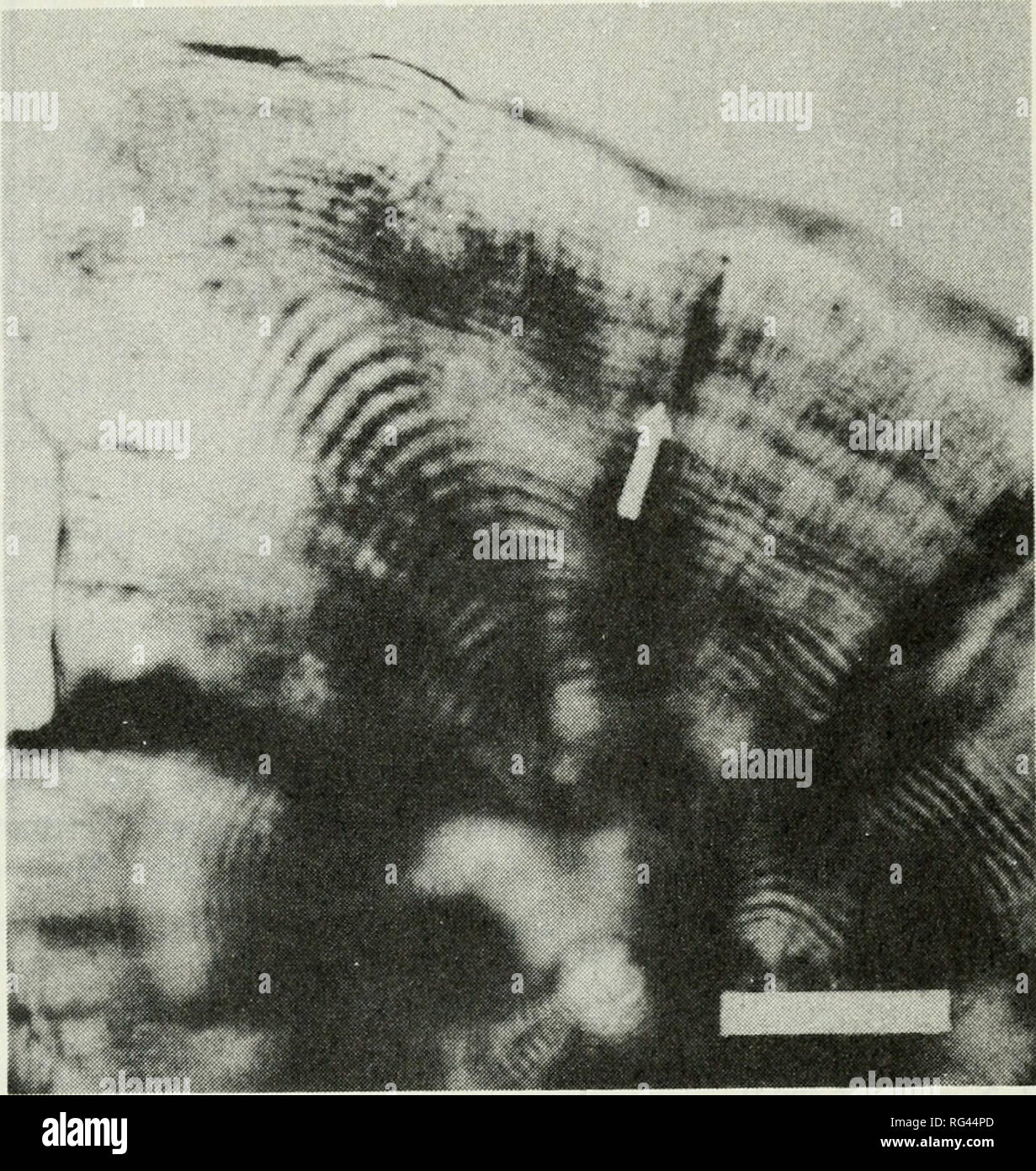 Logarithmic function hi-res stock photography and images - Alamy