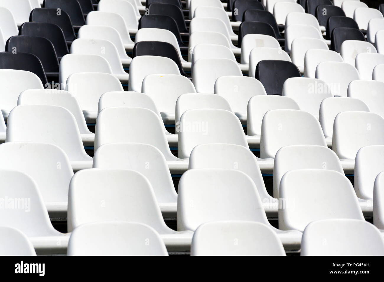 Empty black and white stadium seats mixed in rows, diversity concept ...