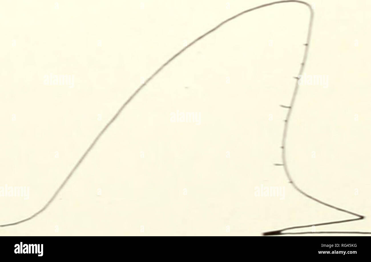 Concave figure hi-res stock photography and images - Alamy