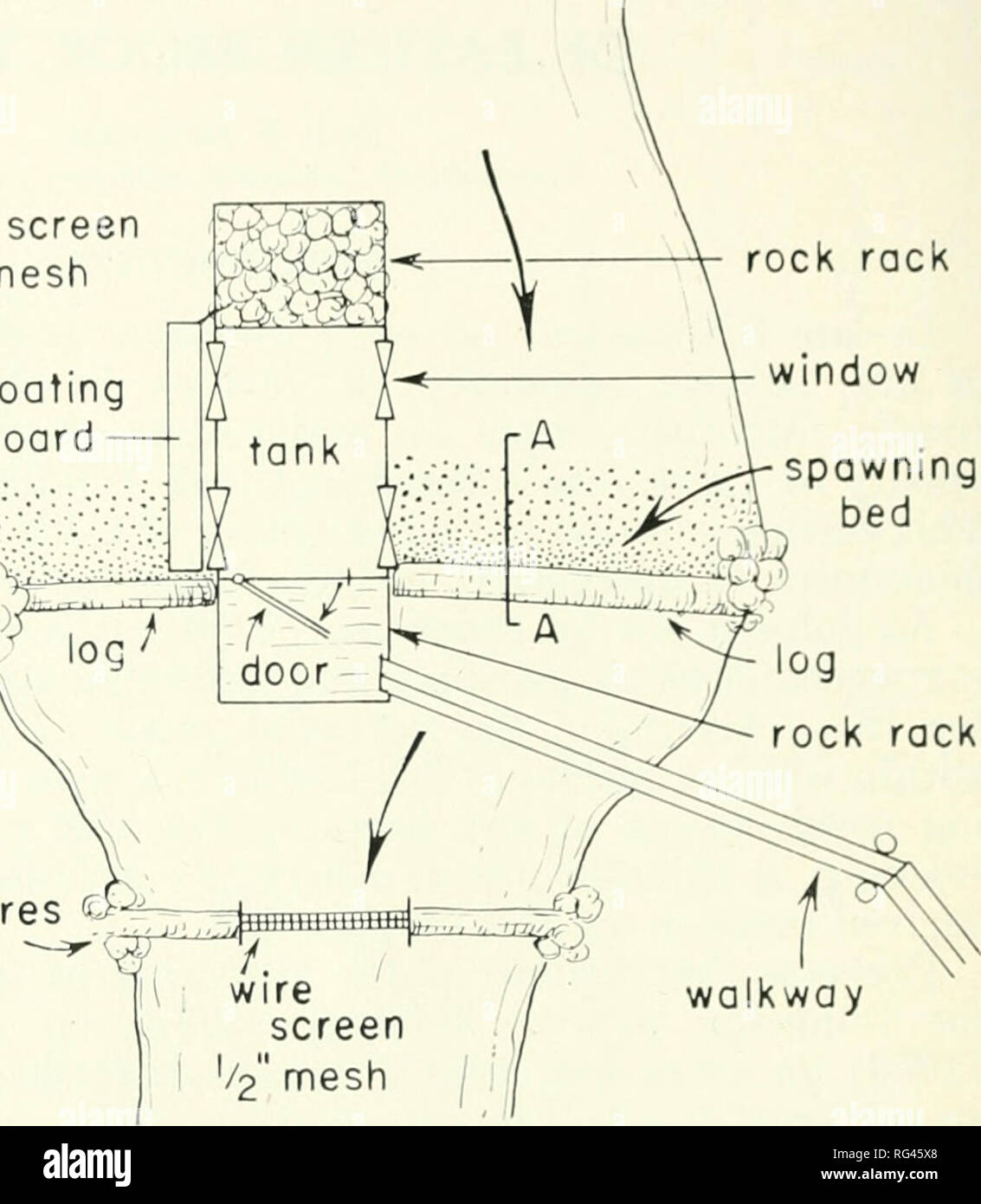 . California fish and game. Fisheries -- California; Game and game ...