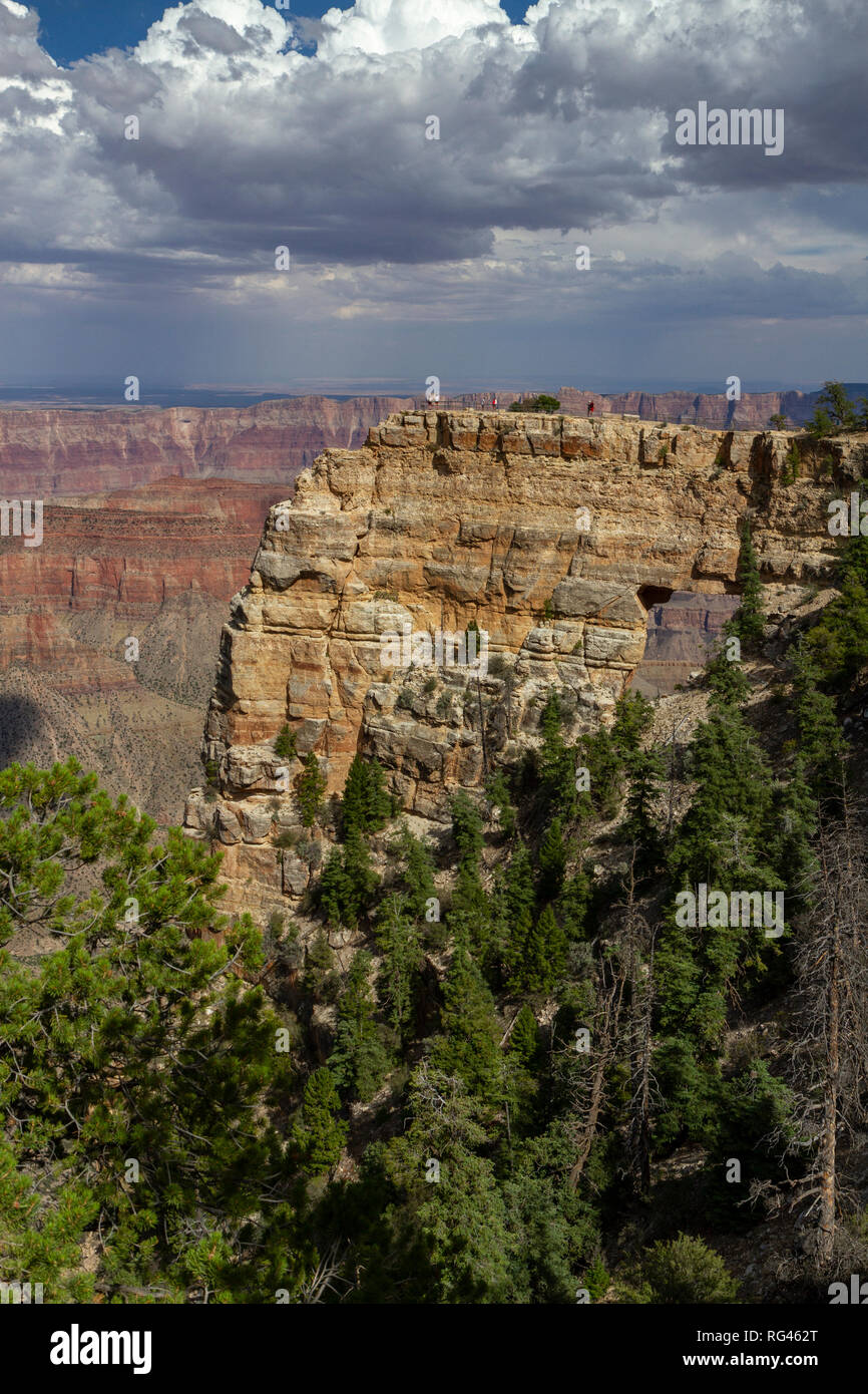 View towards Angels Window arch (see notes), Cape Royal, Grand Canyon ...