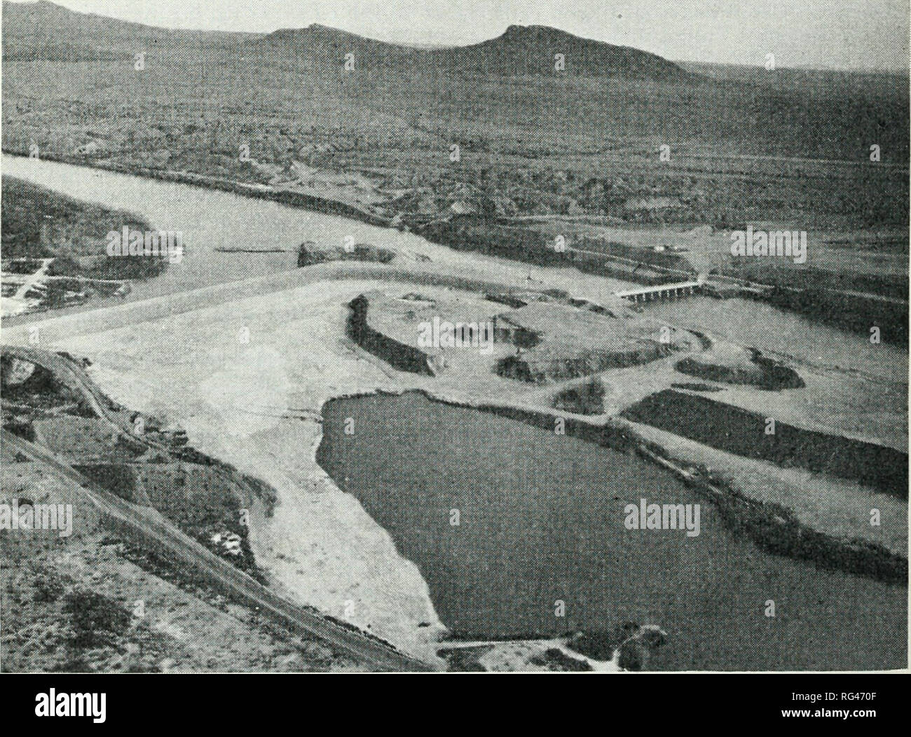 100 120 birds hi-res stock photography and images - Alamy