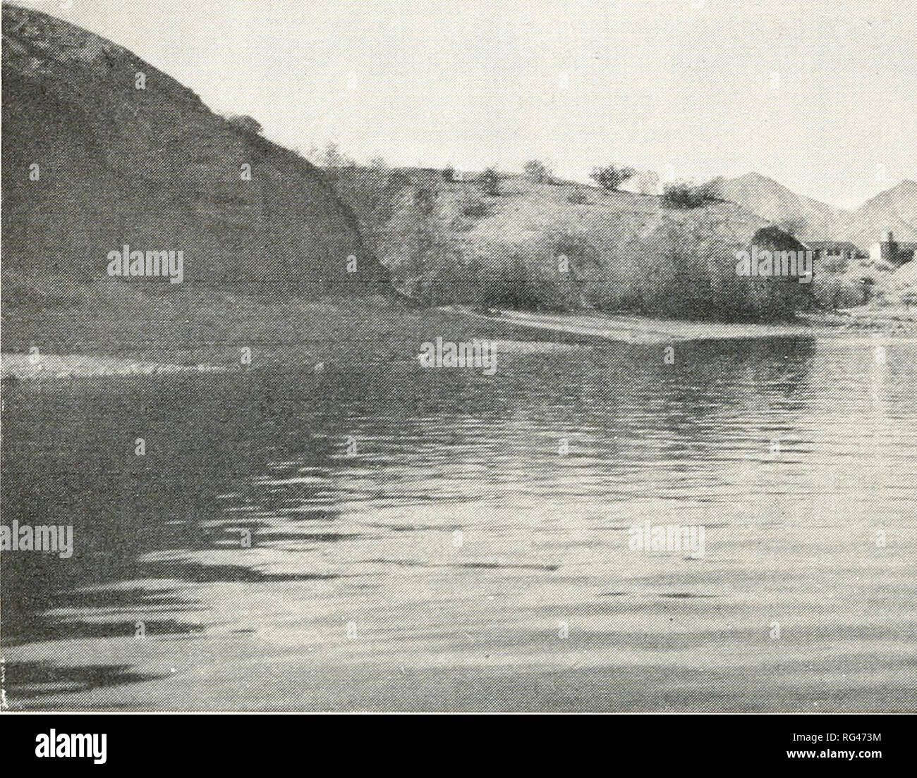 California sucker fish hi-res stock photography and images - Alamy