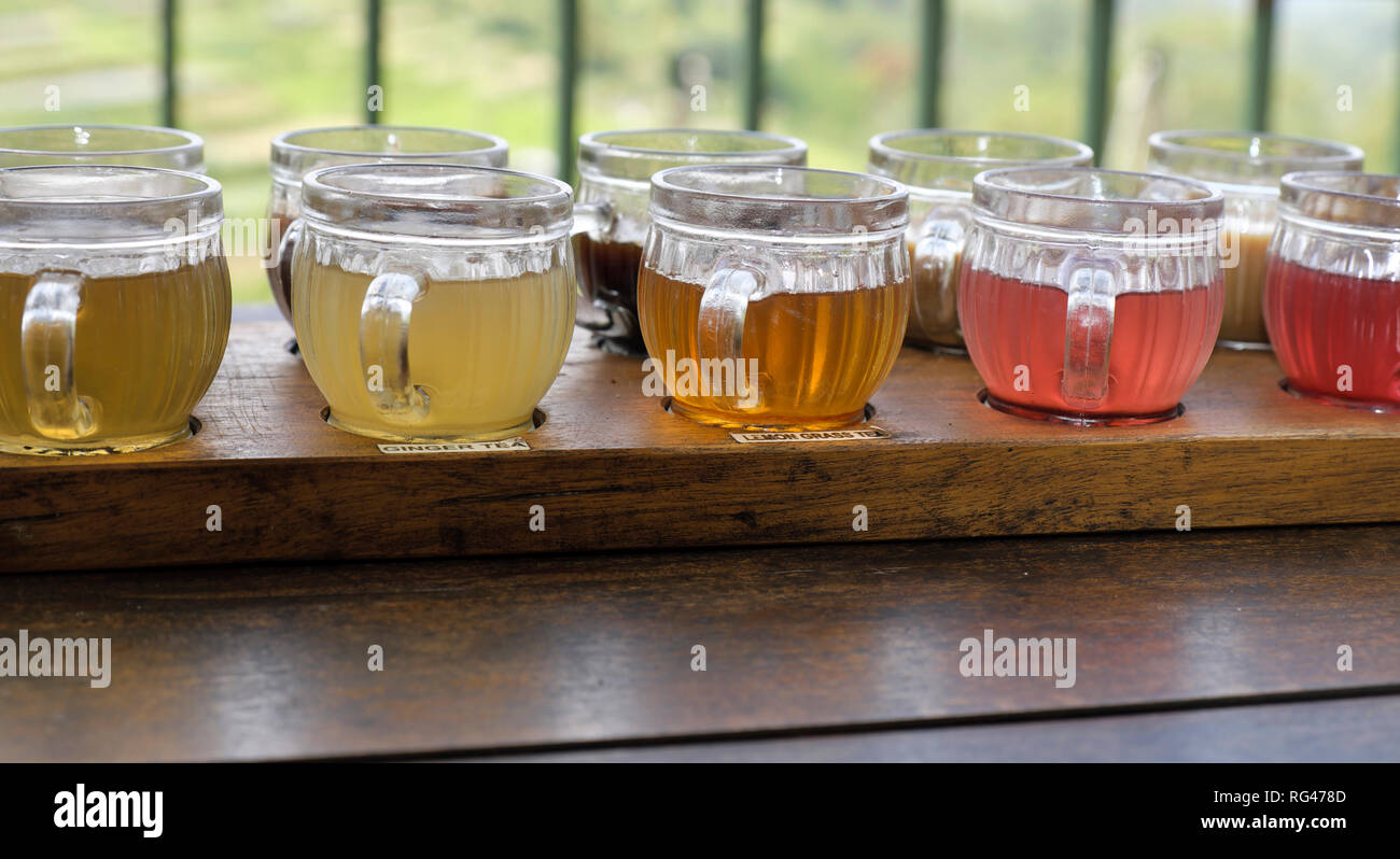 Tea plantation selection hi-res stock photography and images - Alamy