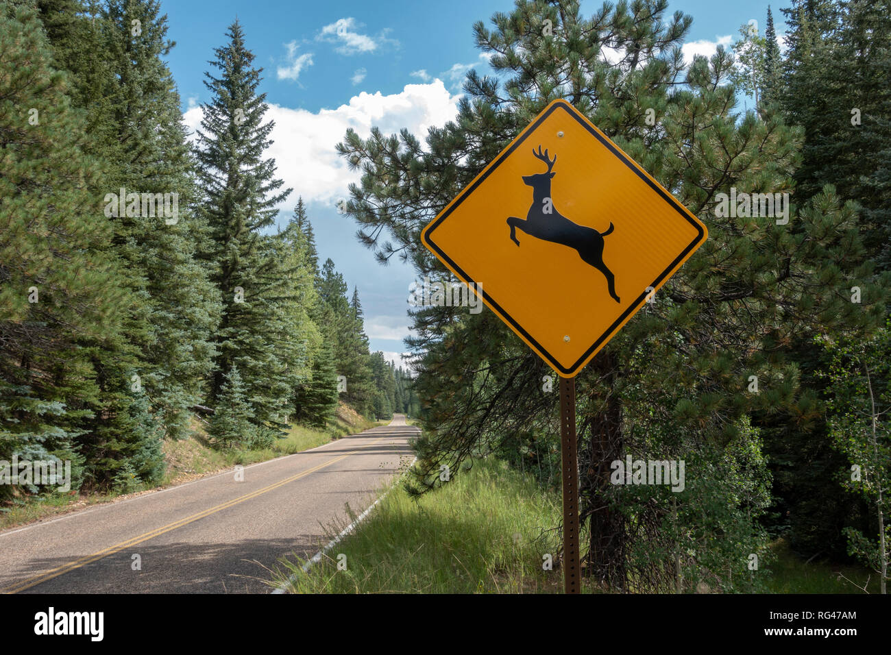 Standard Arizona road side warning sign for deer, Grand Canyon North ...