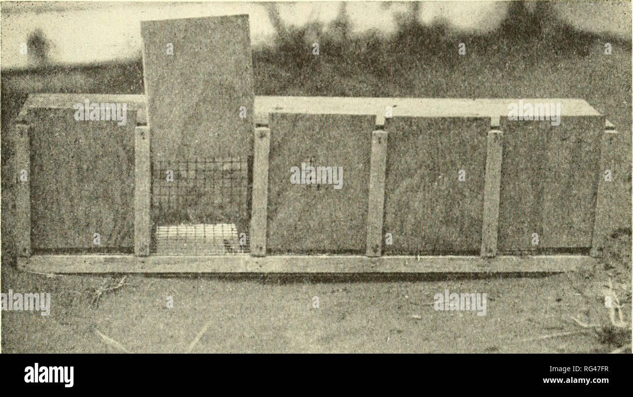 Quail droppings hi-res stock photography and images - Alamy