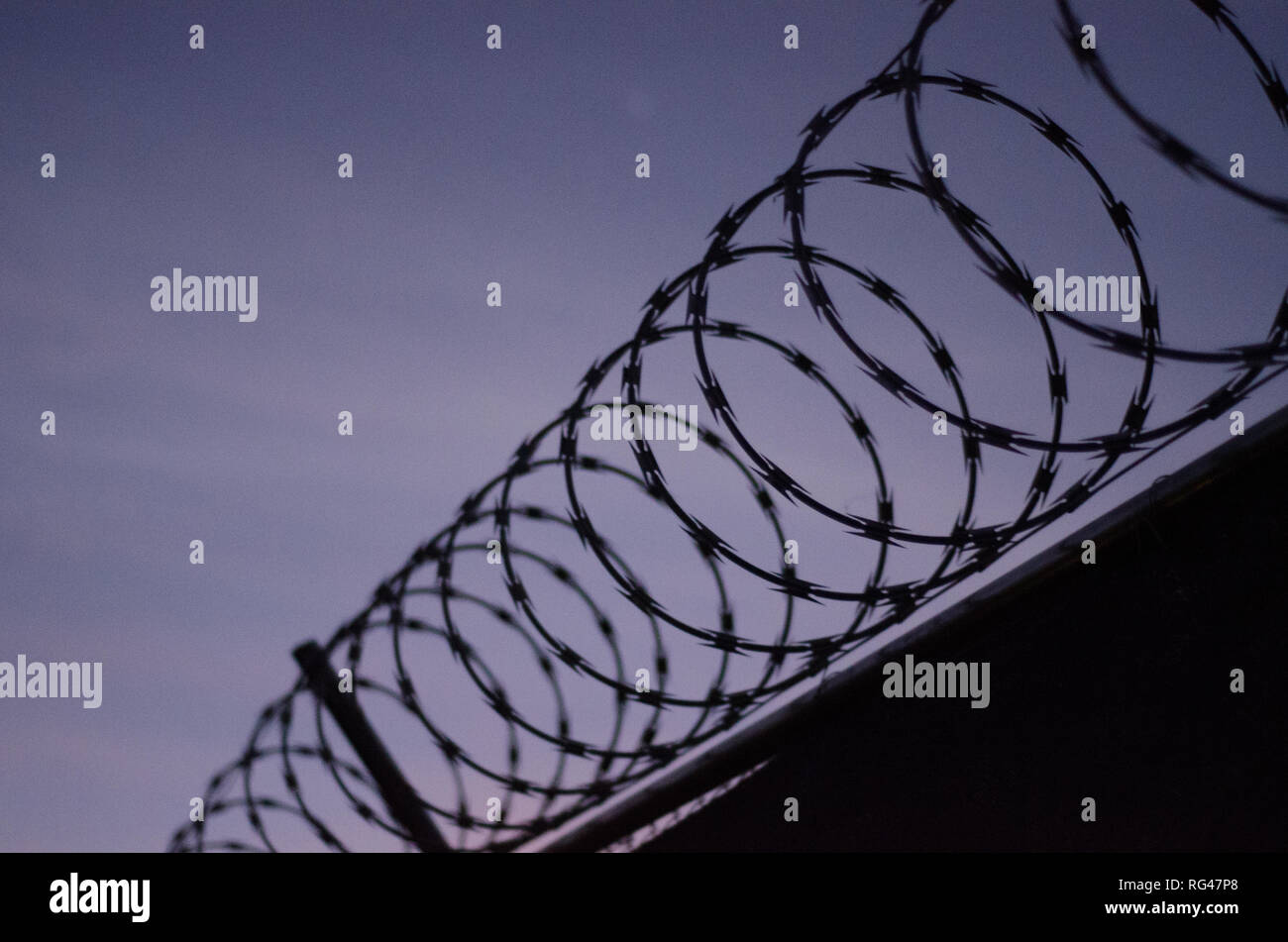 Razor wire fence wall hi-res stock photography and images - Alamy