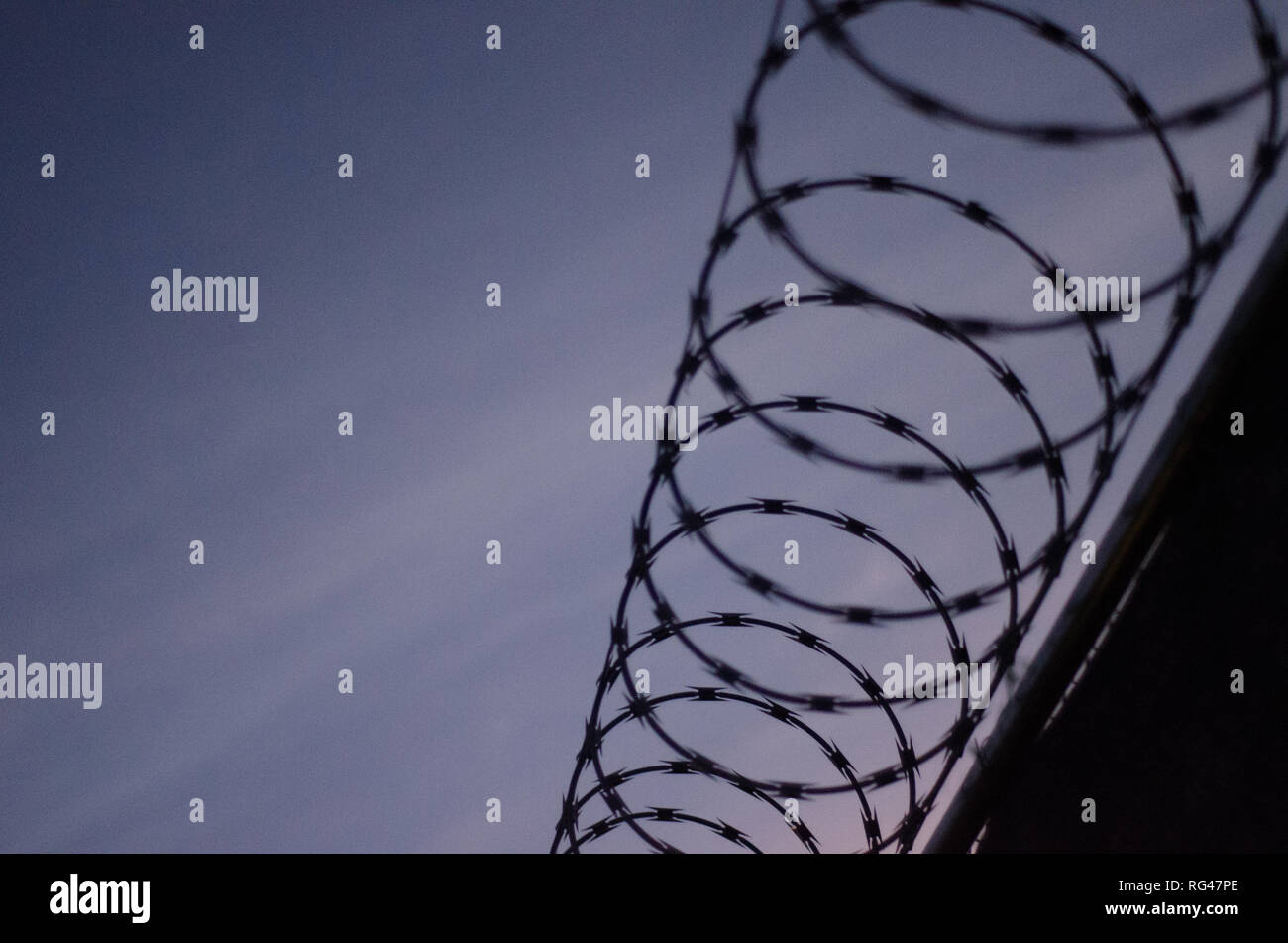 Razor wire fence wall hi-res stock photography and images - Alamy