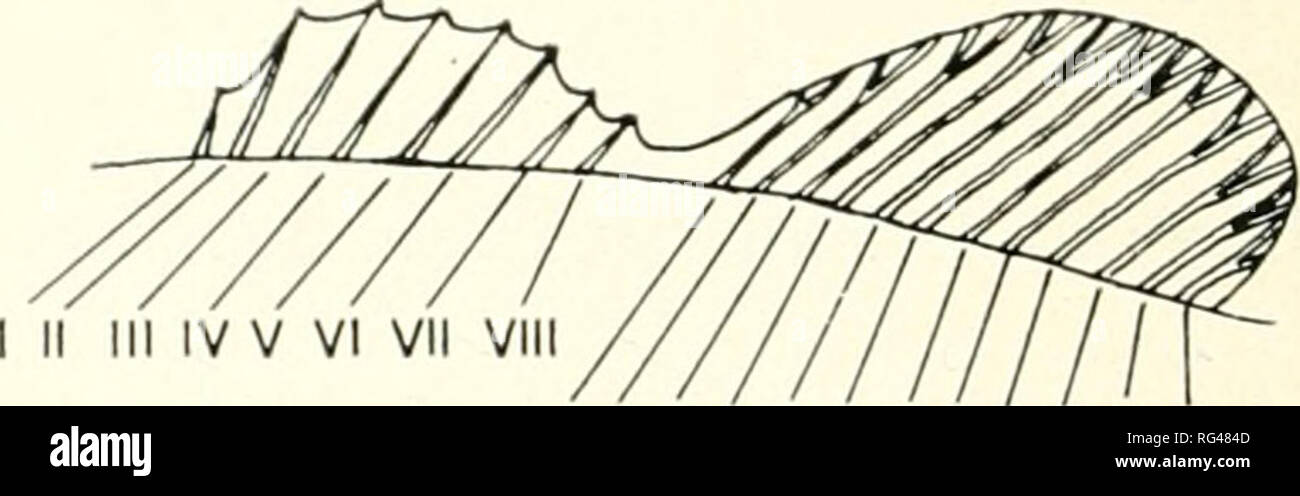 . California fish and game. Fisheries -- California; Game and game ...