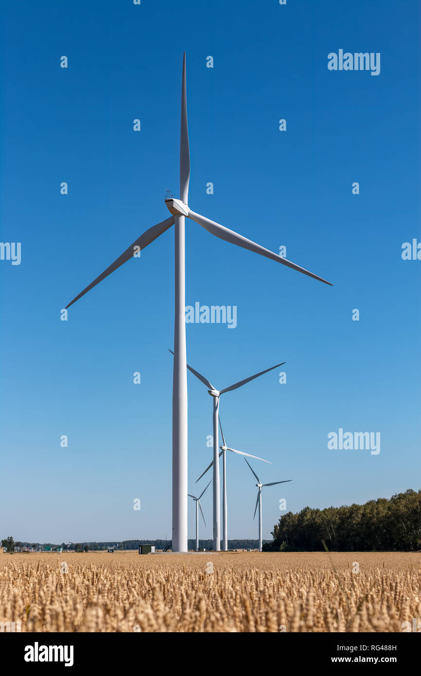 Renewable sustainable environment hi-res stock photography and images ...