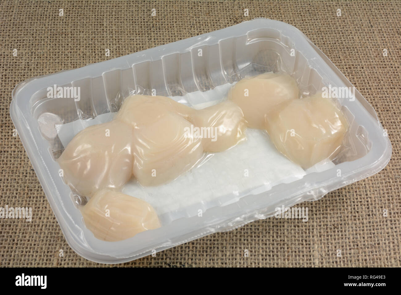 Fresh sea scallops seafood shellfish in vacuum sealed plastic packaging ...
