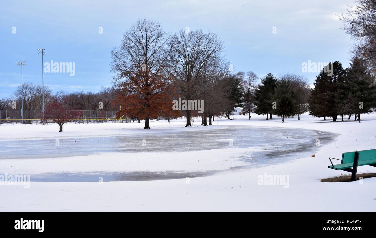 Frozen deciduous tree hi-res stock photography and images - Alamy