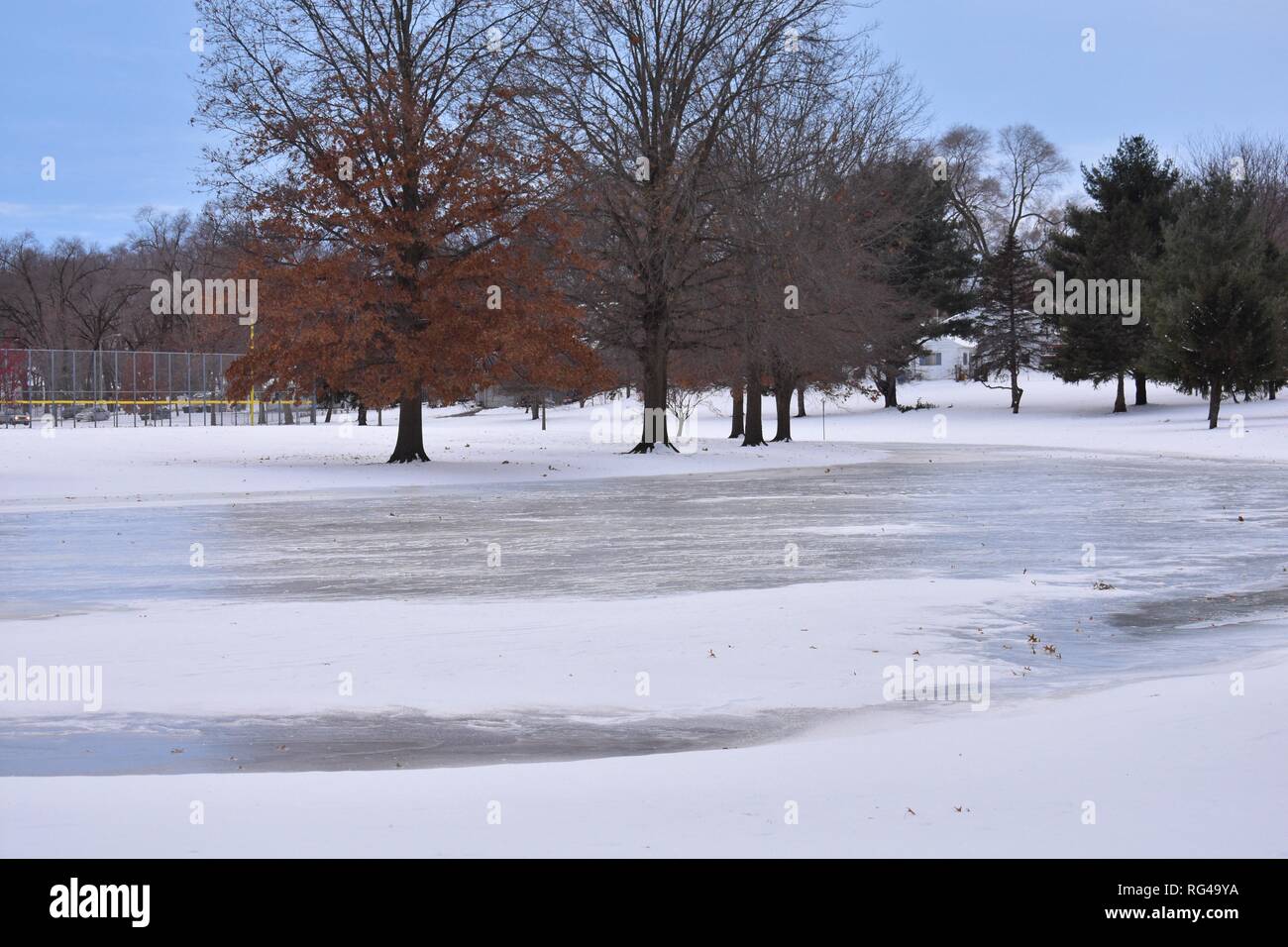 tree's reflecting on a frozen pond Stock Photo - Alamy