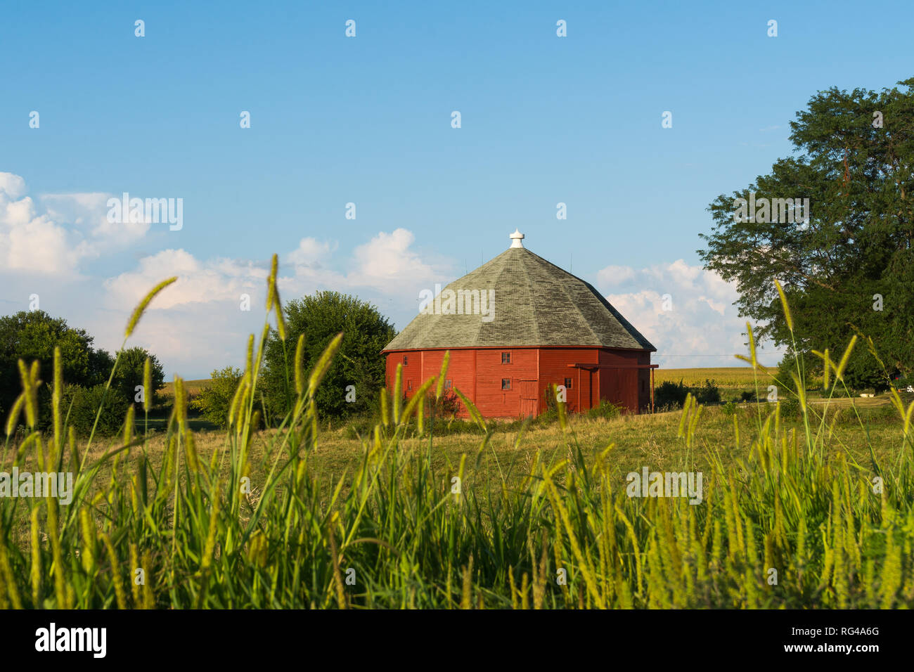 Red round barn through the tall grass on a Summer afternoon. LaSalle ...