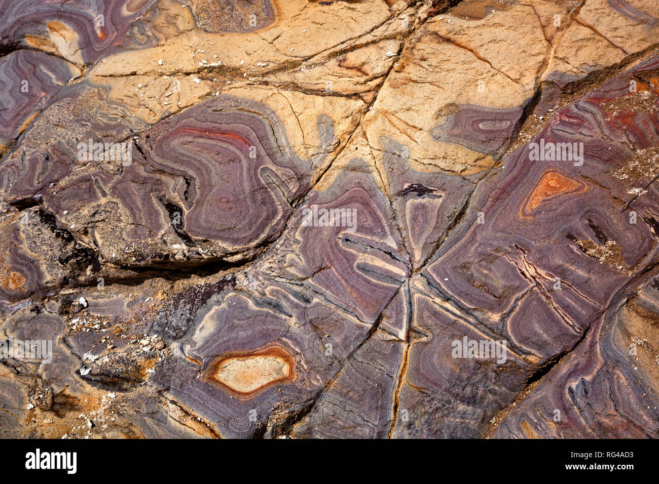 Storm point loop hi-res stock photography and images - Alamy