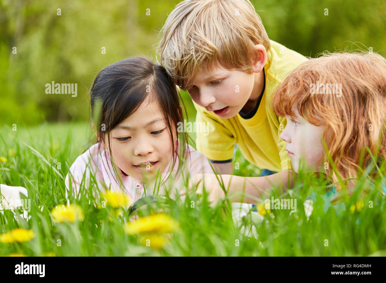 Three children on a meadow with a magnifying glass as a curious ...