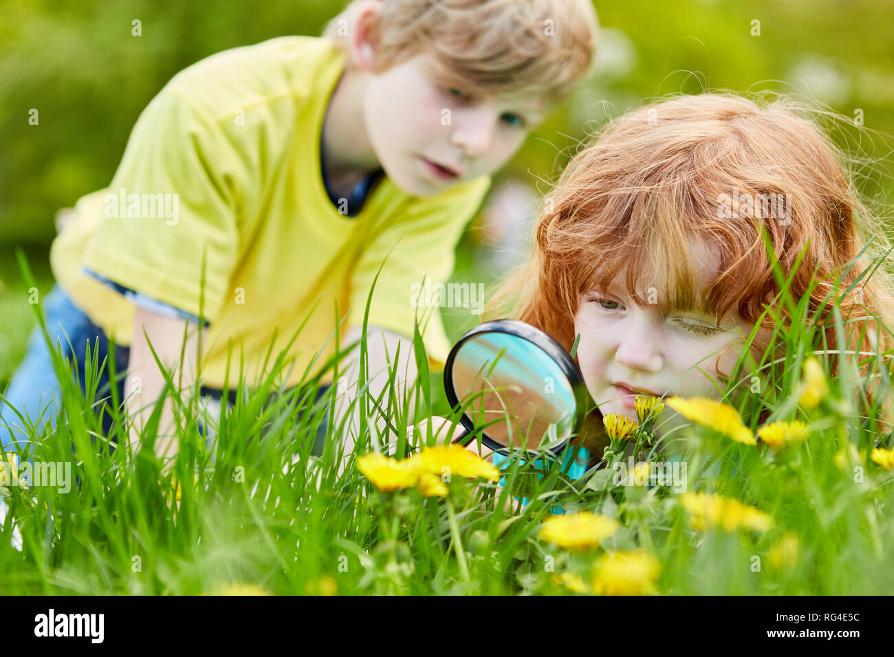 Two children discover nature and the environment with a magnifying ...