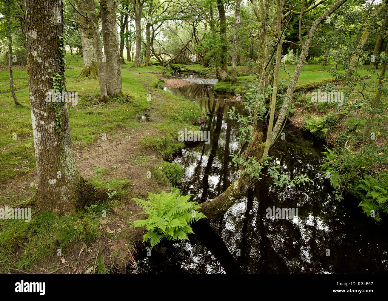 Linwood hi-res stock photography and images - Alamy