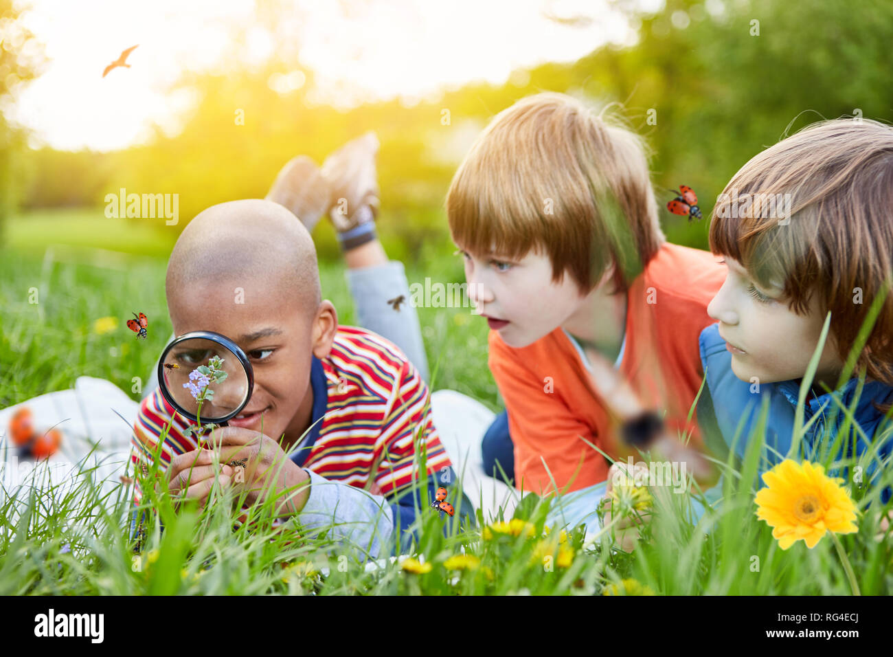 Three children together play a naturalist with magnifying glass in the ...