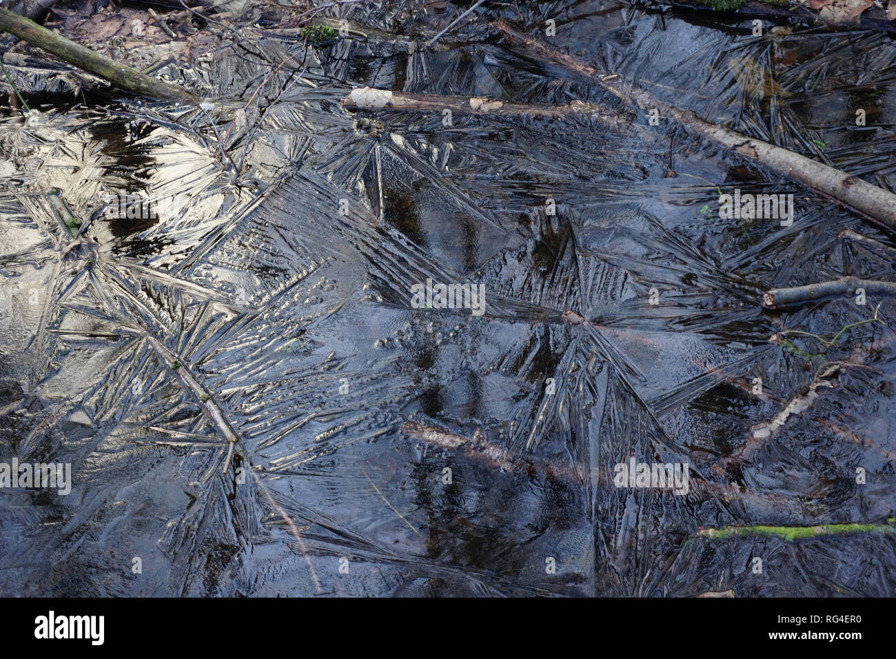 Structure of frozen ice with leaves Stock Photo - Alamy