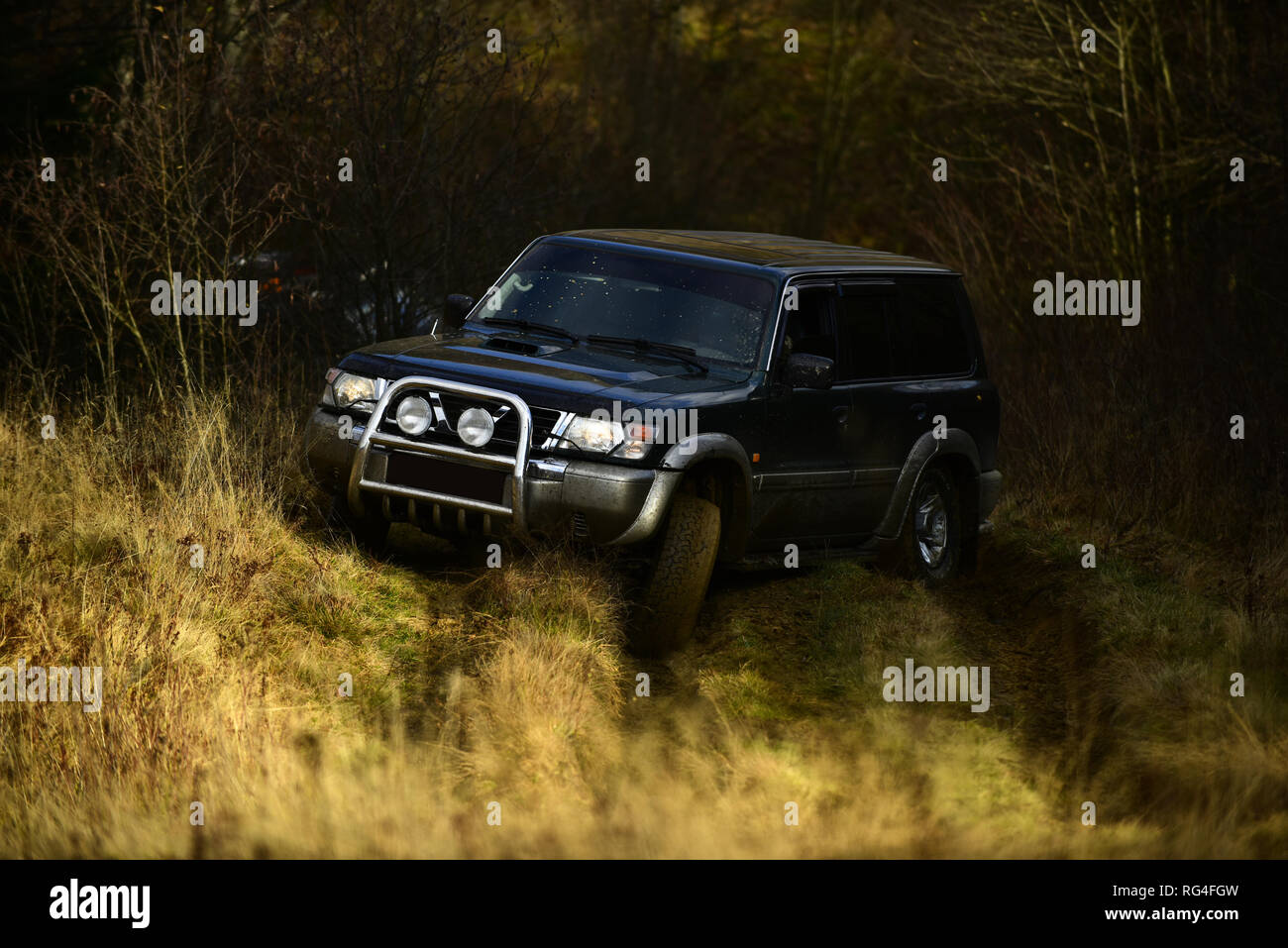 Offroad race on fall nature background. SUV or offroad car stuck in rut ...