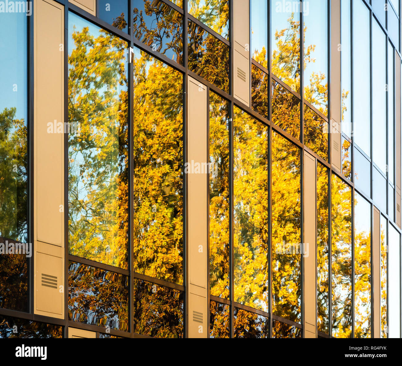 Abstract section of a modern building with a glass facade in which a ...