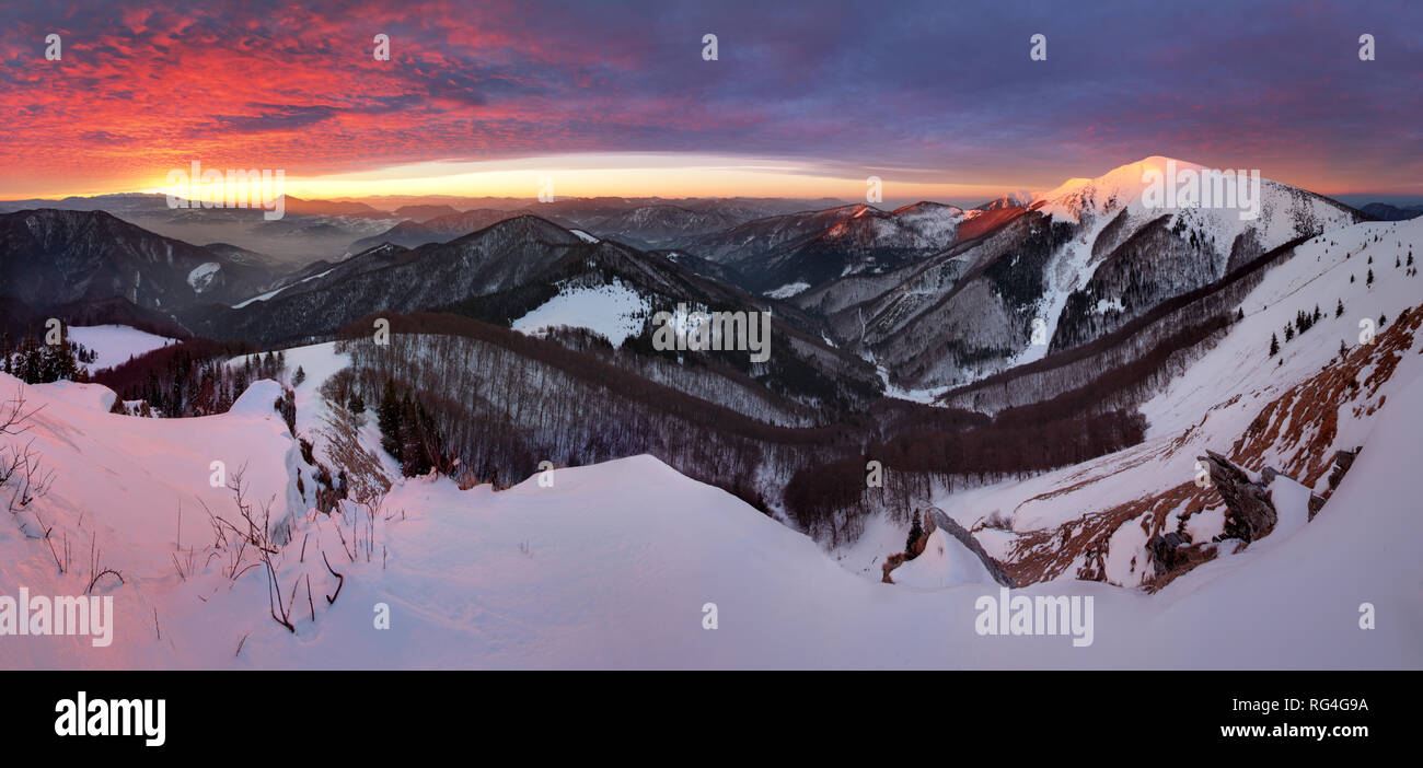 Small fatra hi-res stock photography and images - Alamy