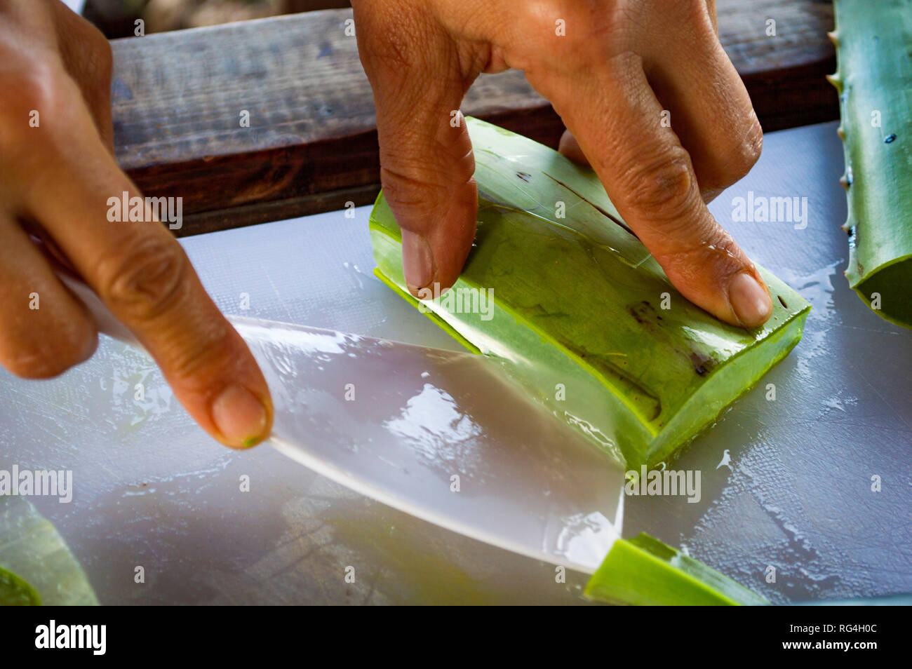 A demonstration of cutting up an aloe vera leaf at the Finca Canarias ...