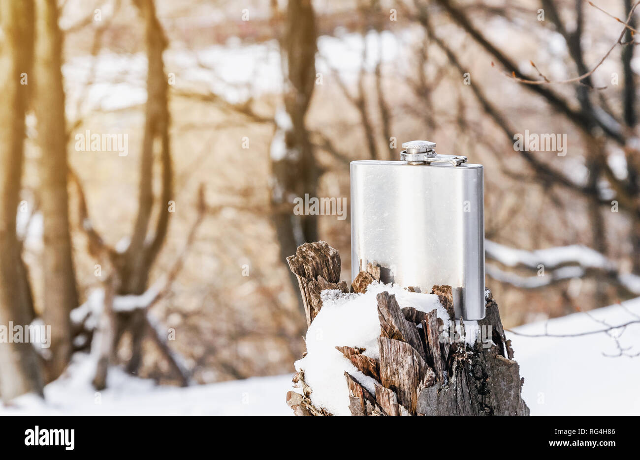 Metallic shiny flask for alcohol on broken tree stump. Nature, winter ...