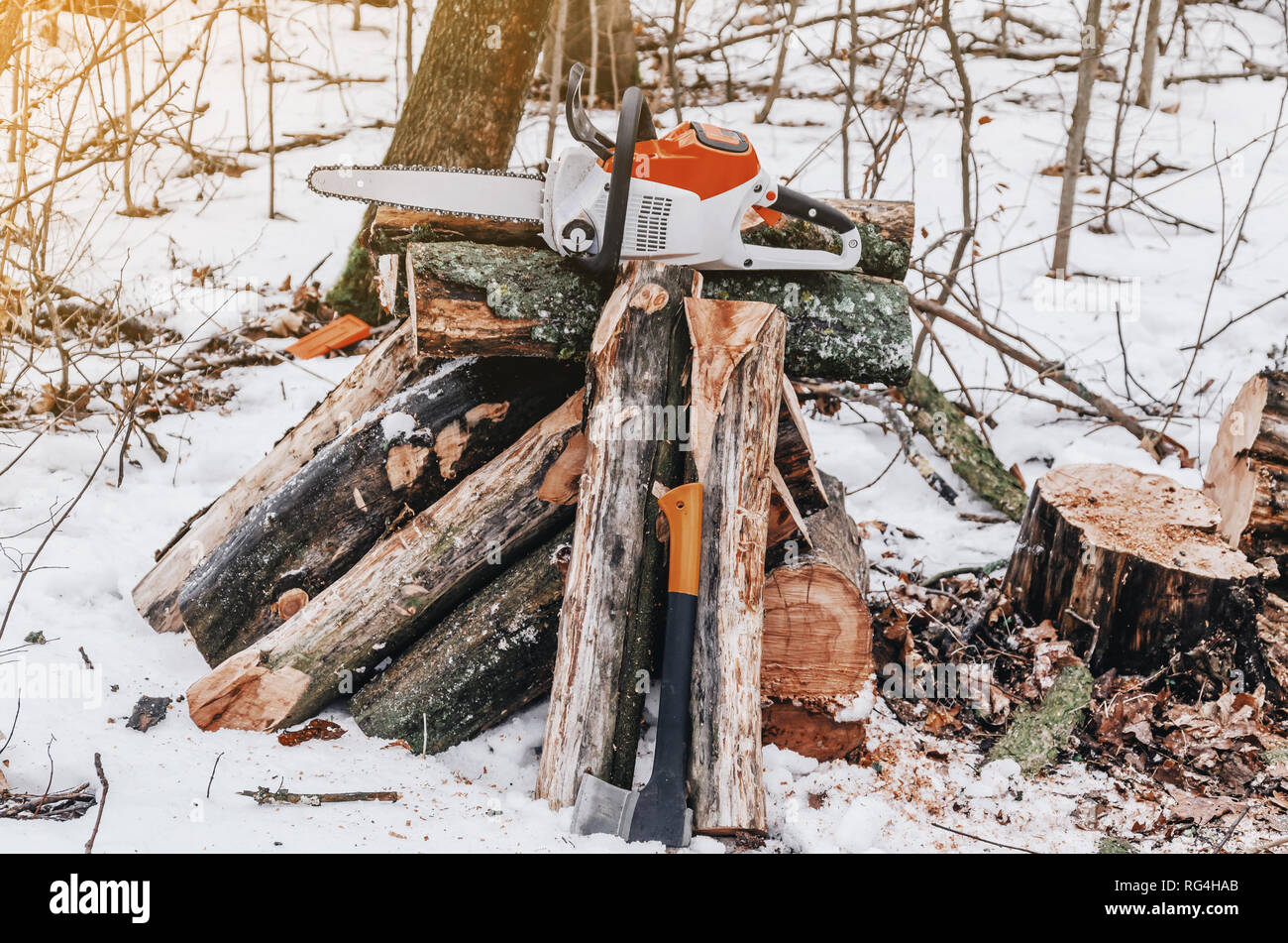 Chain saw on cut logs into woods. Forest clearing, tree cutting ...