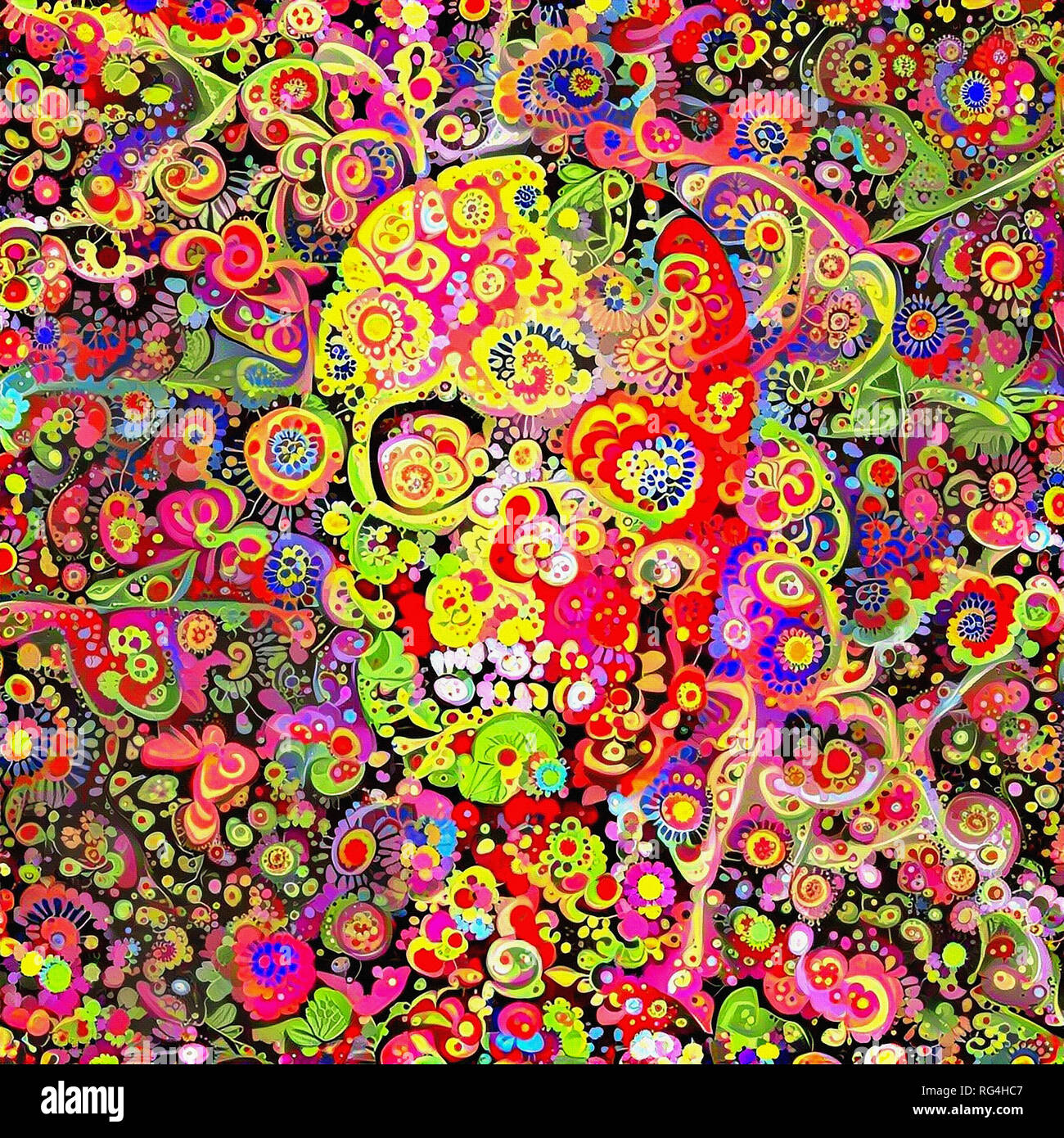 Abstract colorful painting. Ornate decorated skull Stock Photo - Alamy