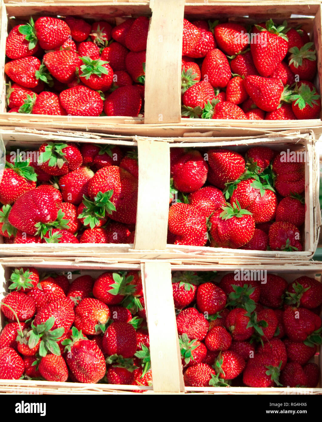 High resolution image. Ripe strawberry in the container Stock Photo - Alamy