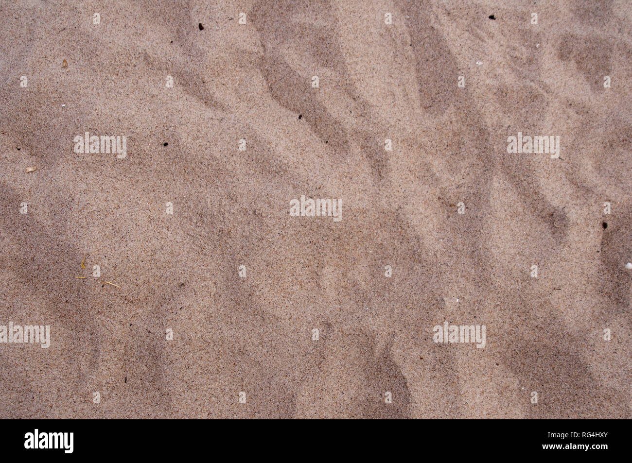High resolution image. Sand on a beach near the sea Stock Photo - Alamy