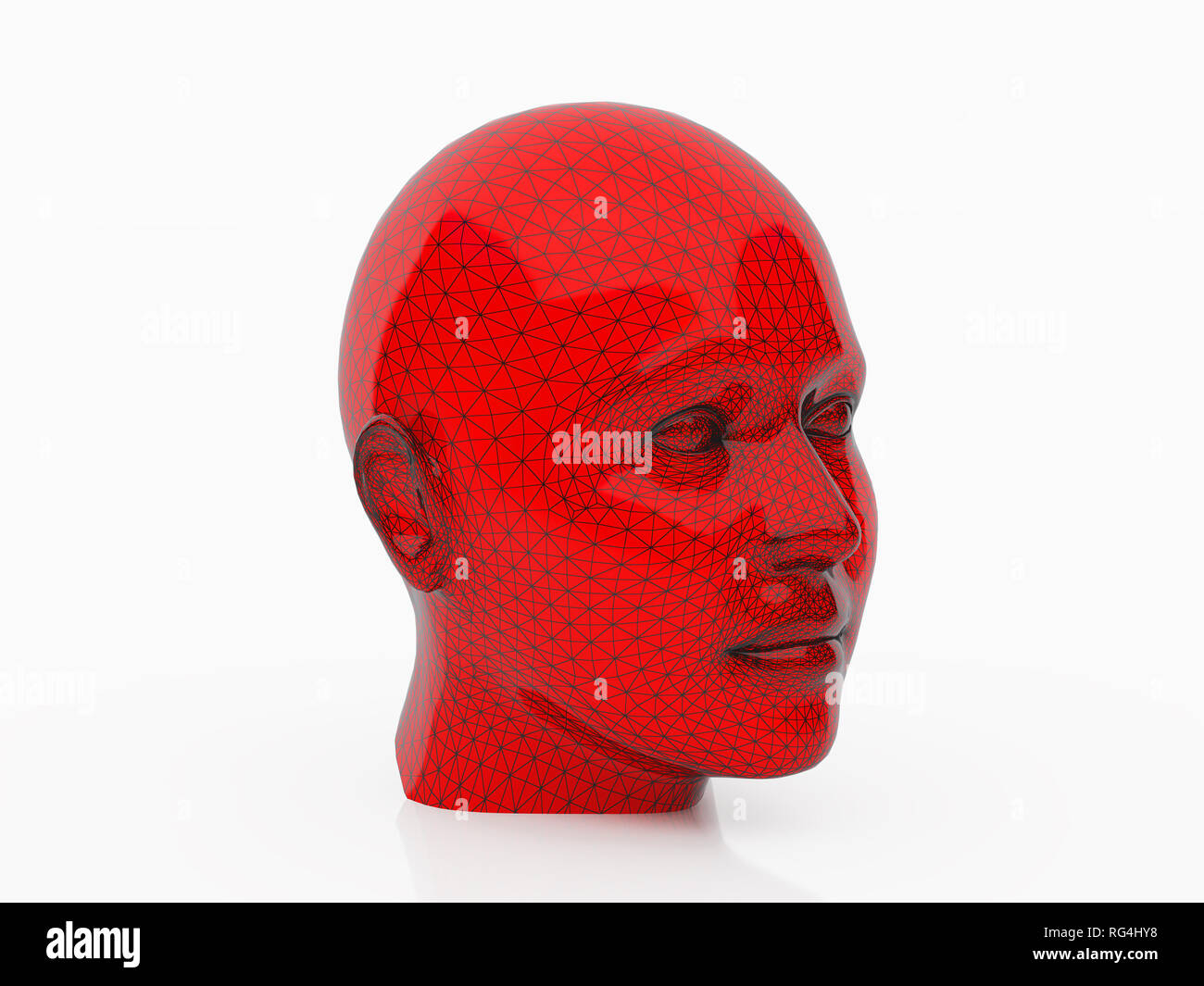 High resolution image head. 3d illustration over white backgrounds ...