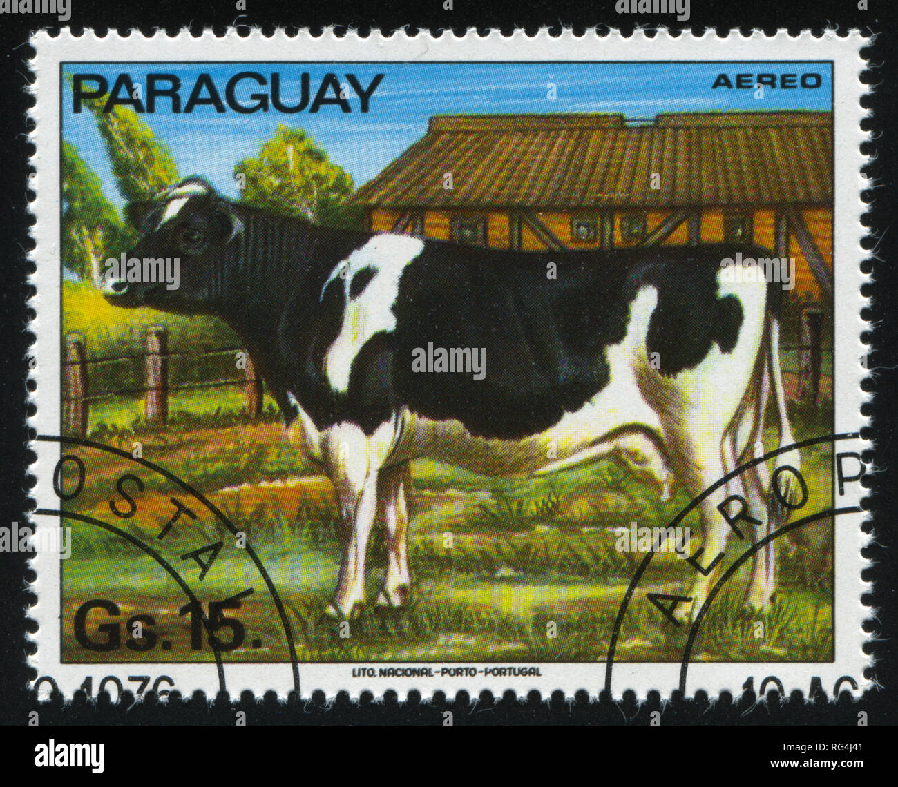 Cow in paraguay hi-res stock photography and images - Alamy