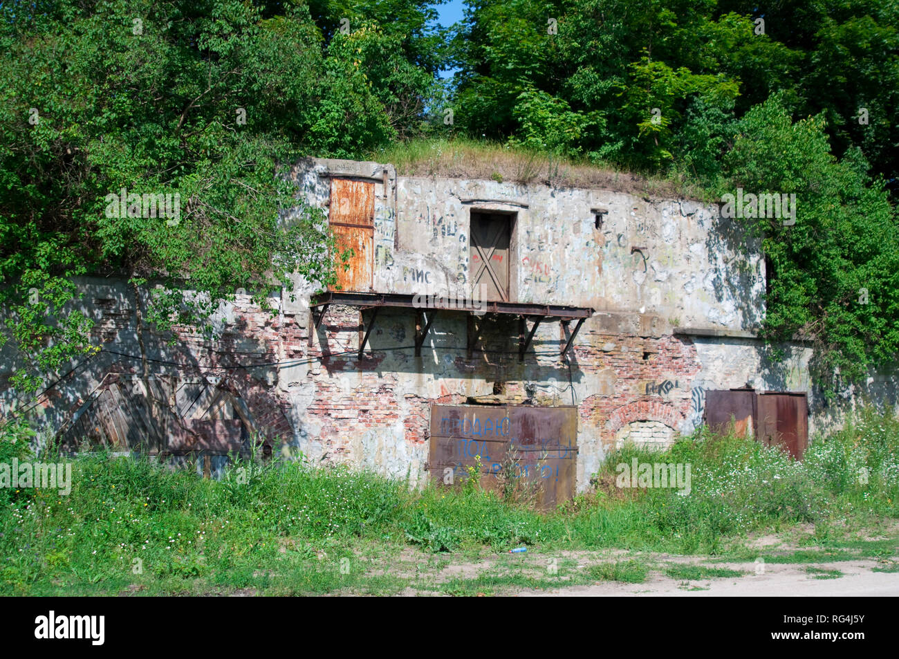 High resolution image. The old destroyed bunker in wood Stock Photo - Alamy