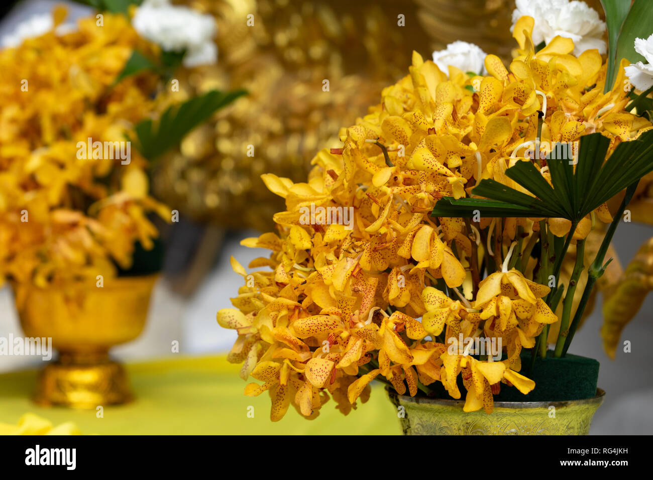 Display yellow hi-res stock photography and images - Alamy