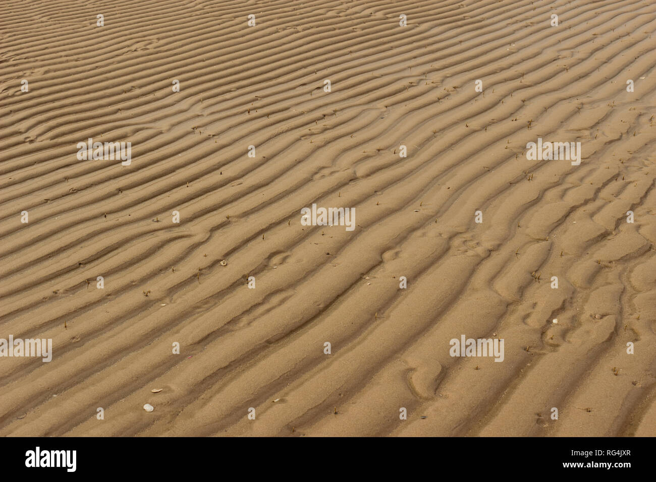 Barren (sand or sandy) sea underwater hi-res stock photography and ...