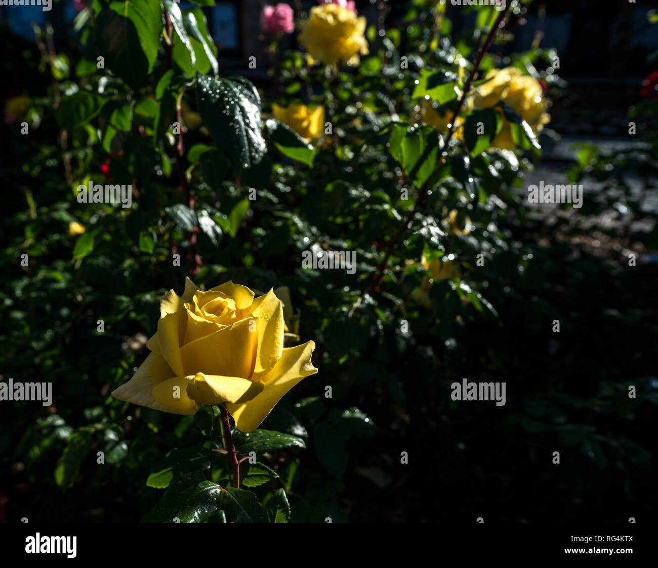 Avila parks hi-res stock photography and images - Alamy