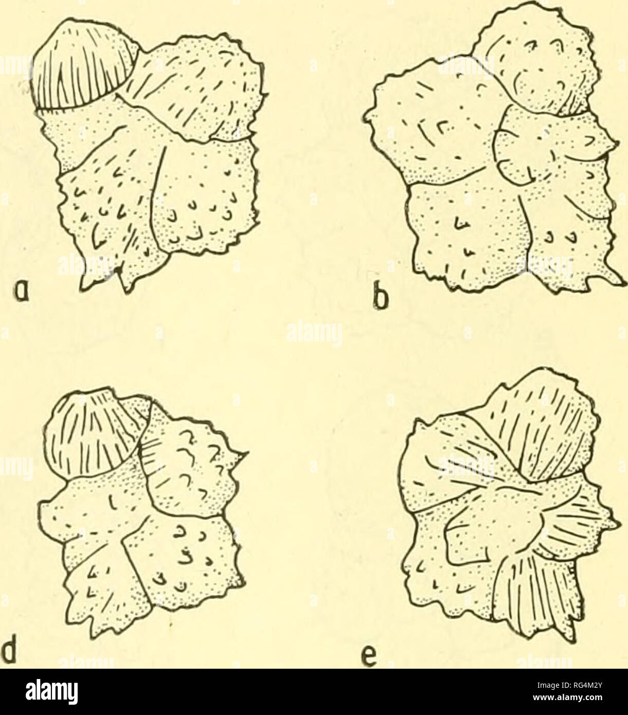 Matrix chambers hi-res stock photography and images - Alamy