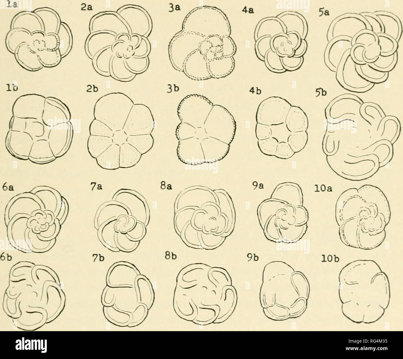 Landoi hi-res stock photography and images - Alamy