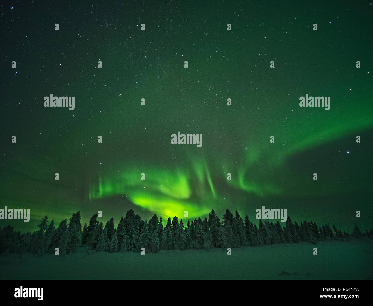 Ivalo, Finland. 27th January 2019. A spectacular display of the ...