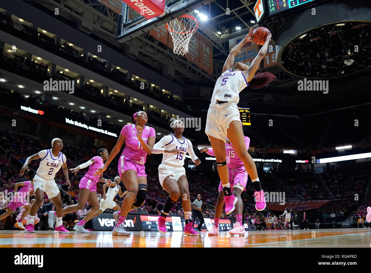 Lsu lady tigers hi-res stock photography and images - Alamy