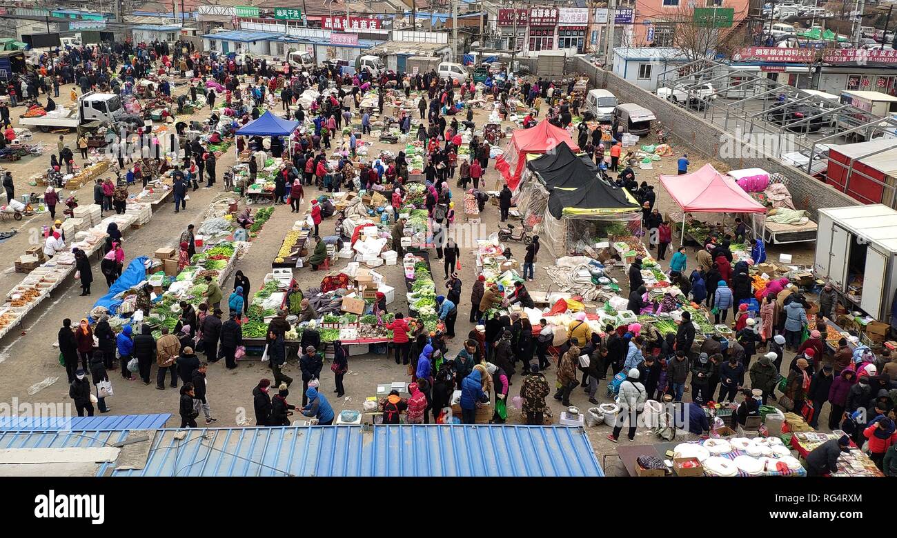 Dalian, Dalian, China. 28th Jan, 2019. Dalian, CHINA-People flock to ...