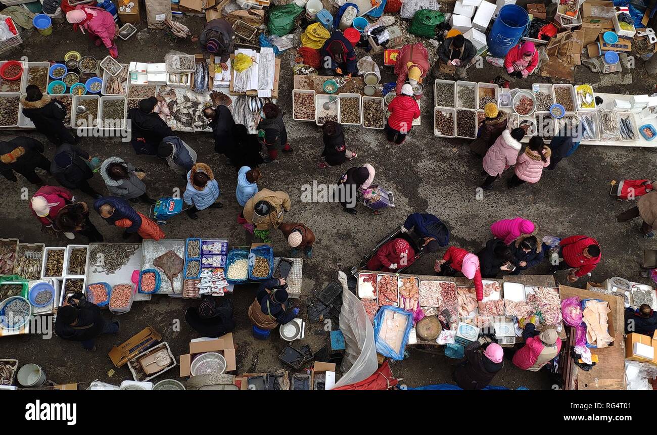 Dalian, Dalian, China. 28th Jan, 2019. Dalian, CHINA-People flock to ...