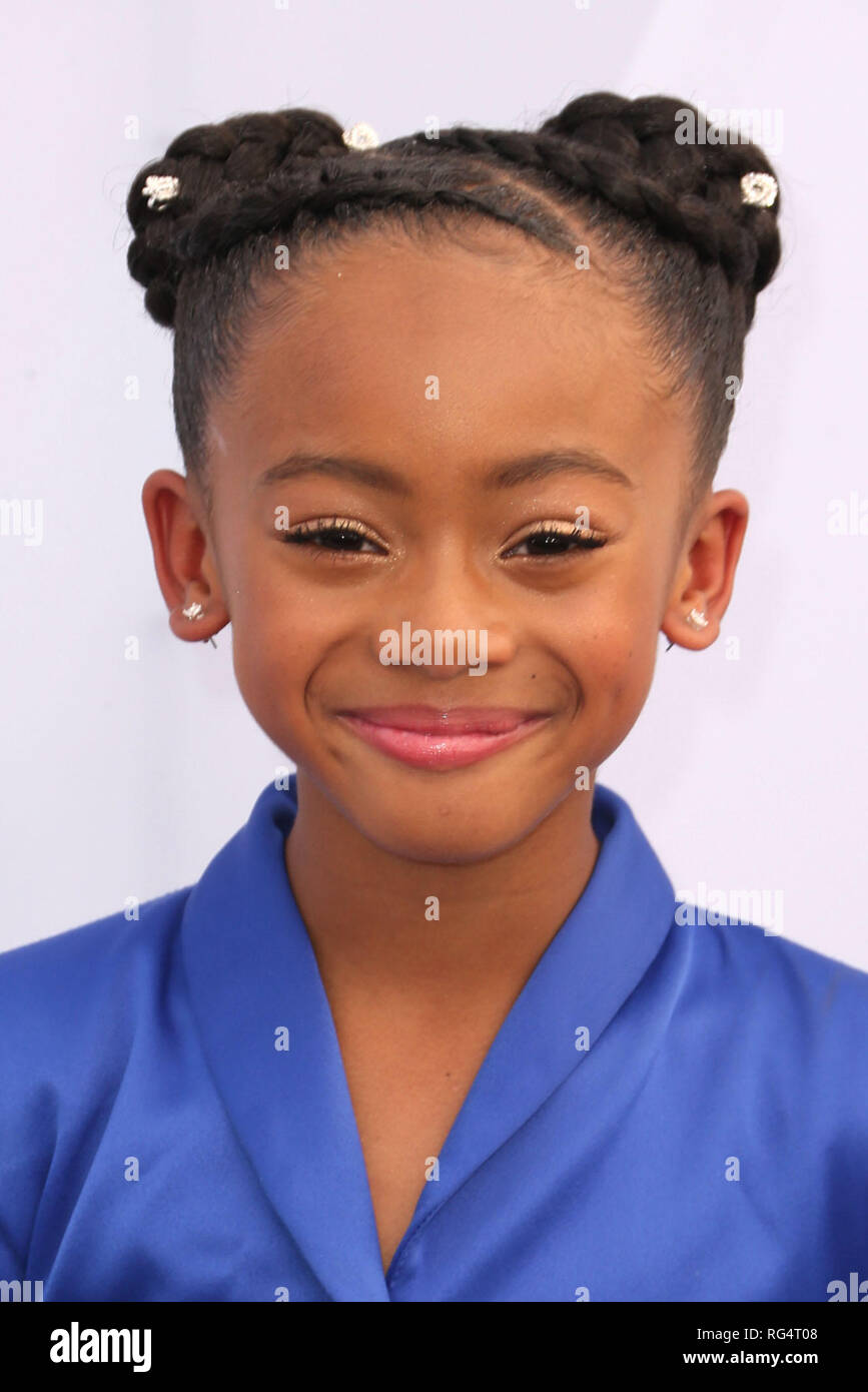 Los Angeles, California, USA. 27th Jan, 2019. 27 January 2019 - Los ...